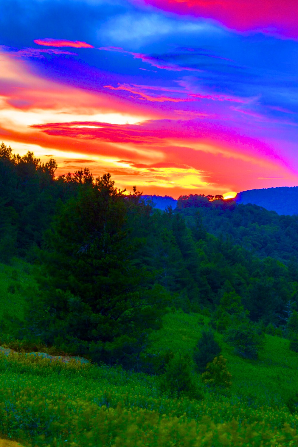 15 Best Things to do in The Blue Ridge Mountains