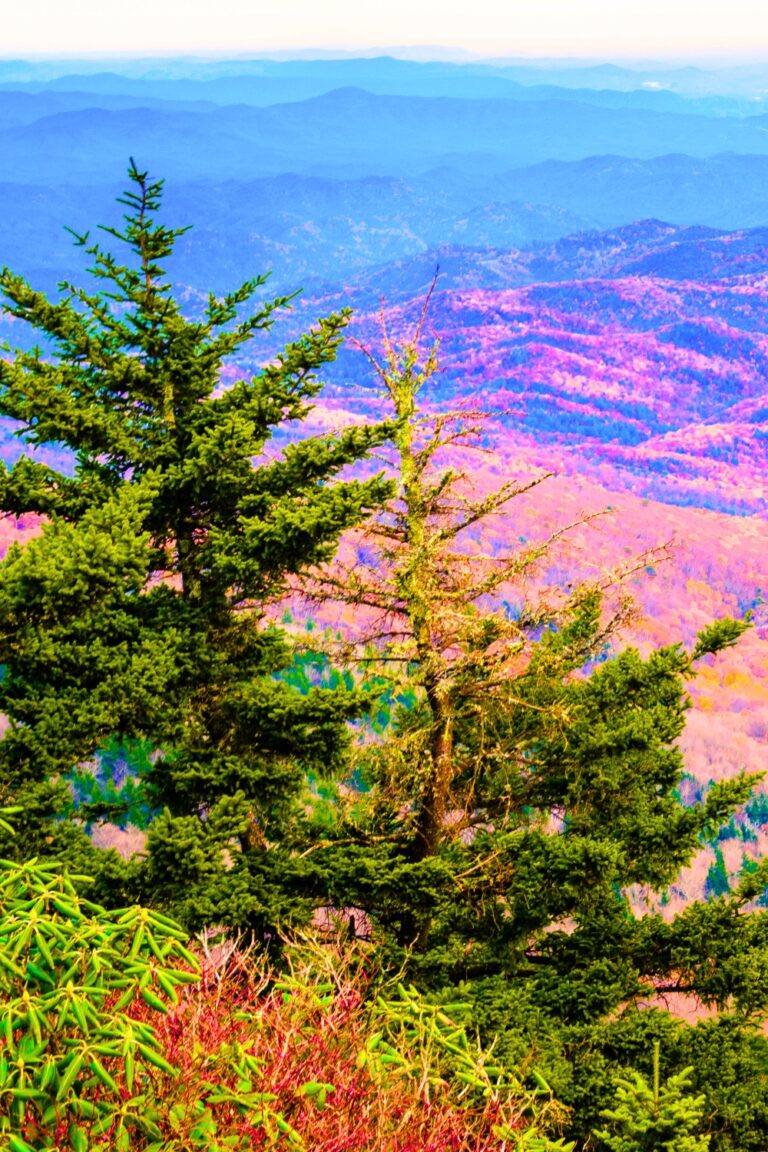 15 Best Things to do in The Blue Ridge Mountains