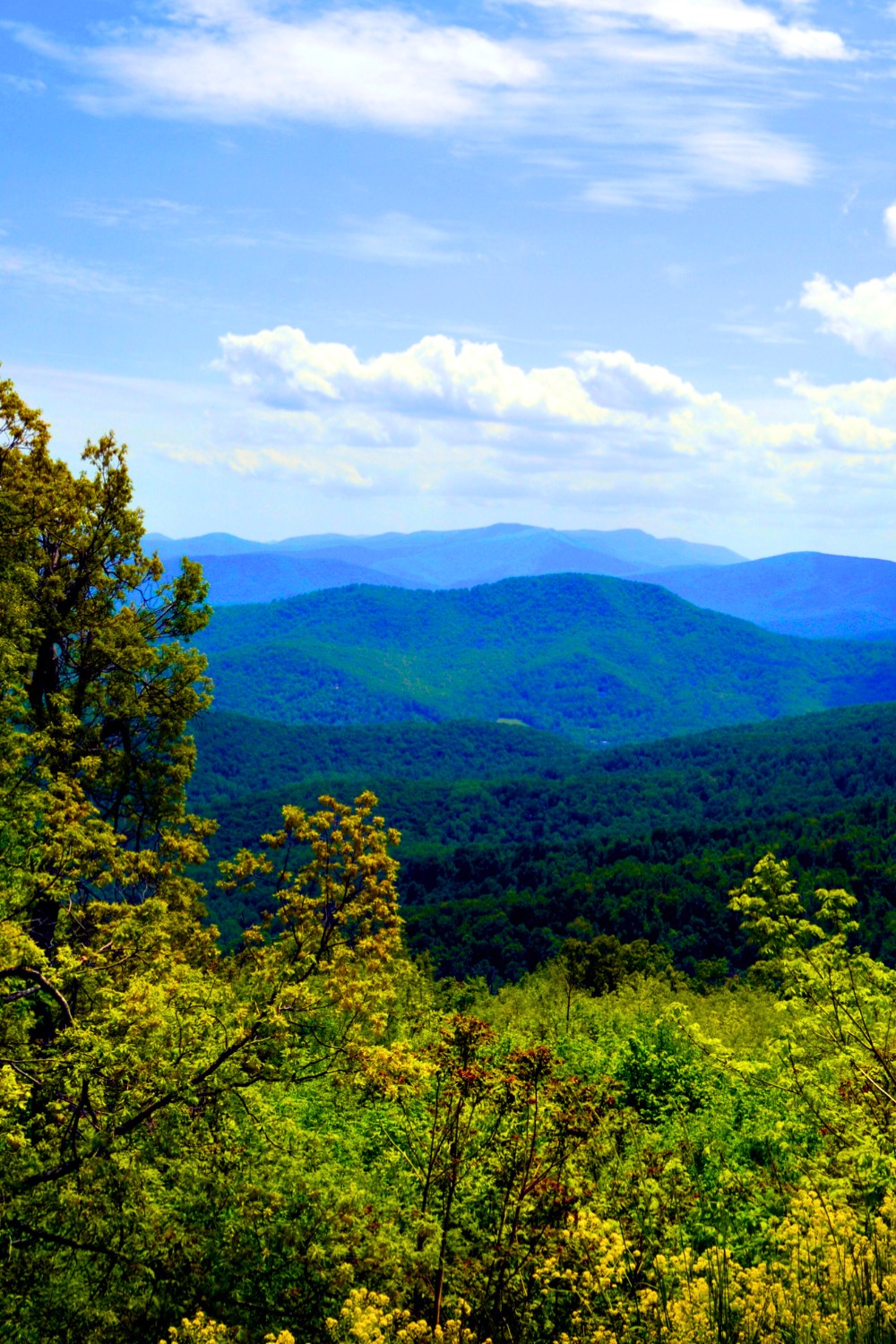 15 Best Things to do in The Blue Ridge Mountains