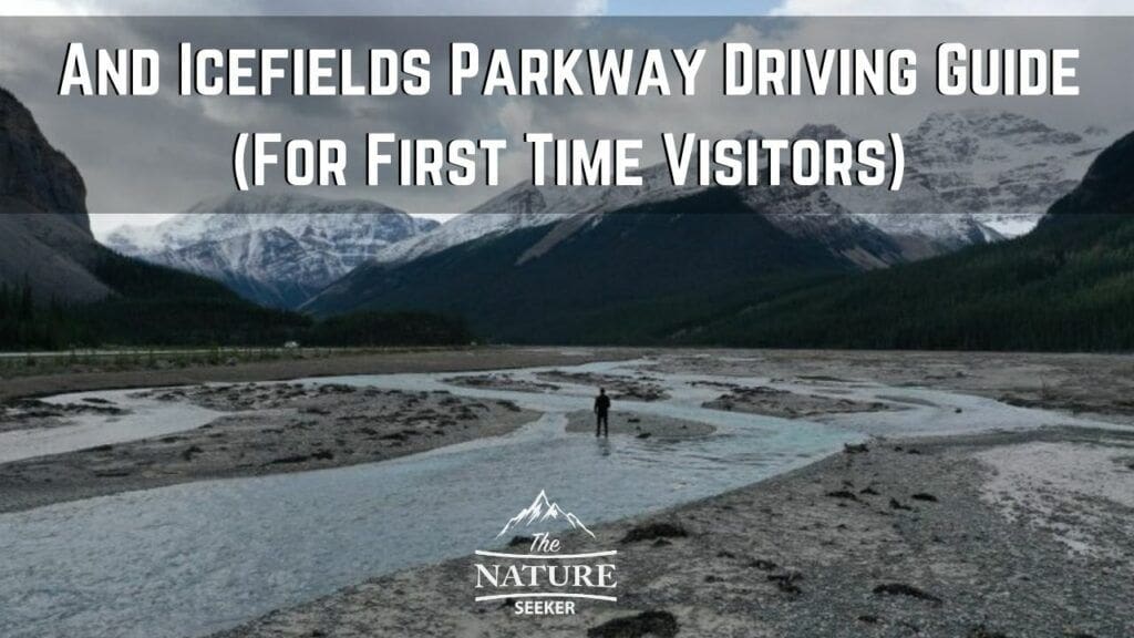 First Time Visitor Guide to The Icefields Parkway
