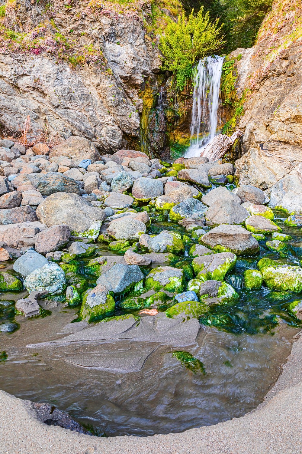Secret Beach Oregon: First Time Visitor Guide