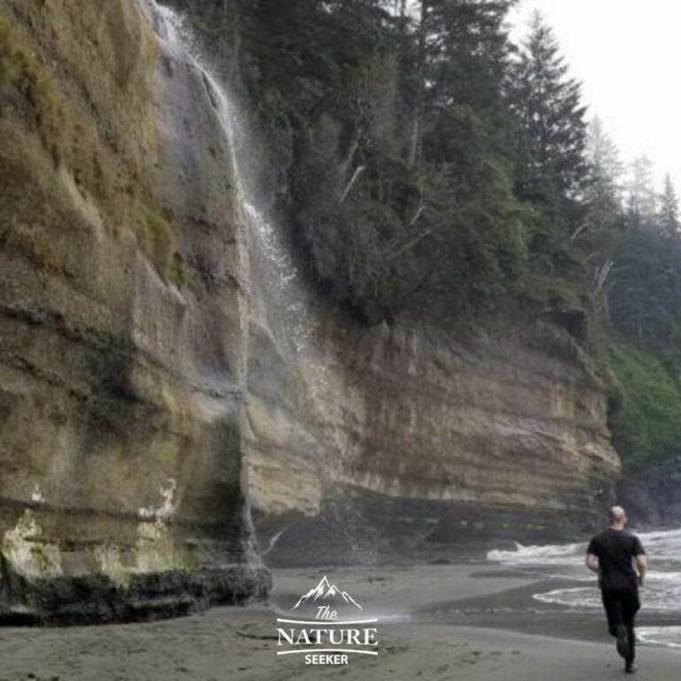 18 Beaches With Waterfalls Whose Beauty Will Blow You Away!