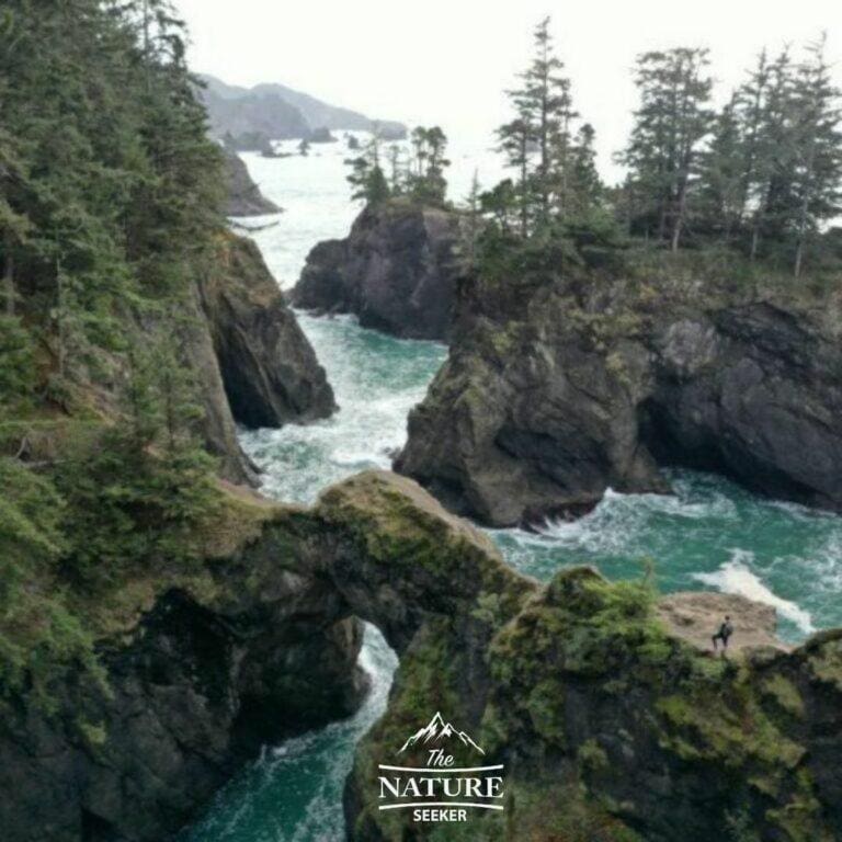 Natural Bridges Oregon: Guide For First Time Visitors