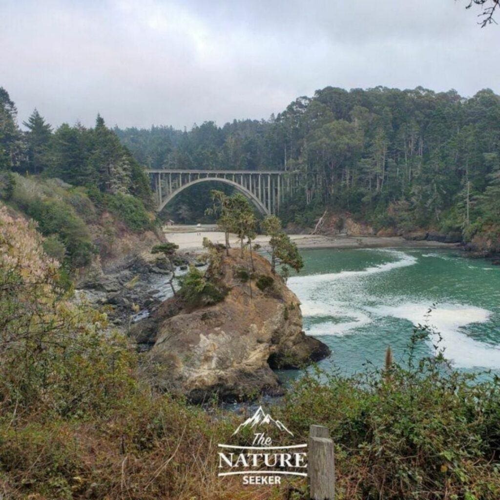 The 7 Best Hiking Trails on The Northern California Coast