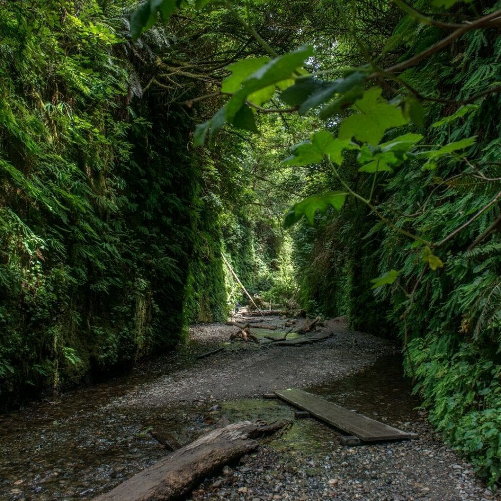 The 7 Best Hiking Trails on The Northern California Coast