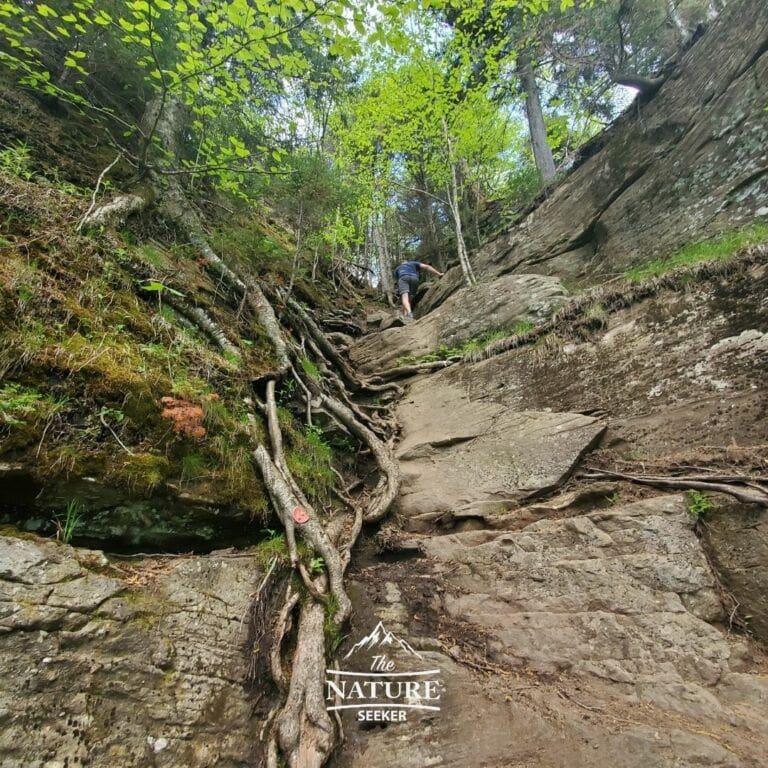 How to Hike The Devil's Path Trail in One Day