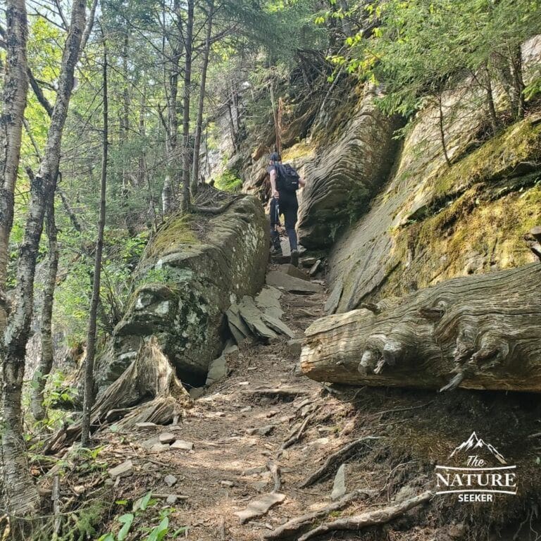How to Hike The Devil's Path Trail in One Day