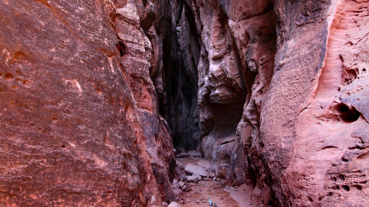 10 Best Hikes in St. George Utah For First Timers to Try