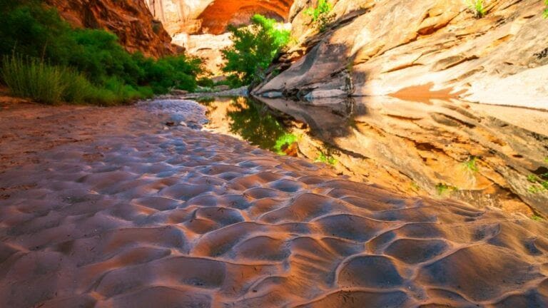 10 Best Hikes in St. George Utah For First Timers to Try
