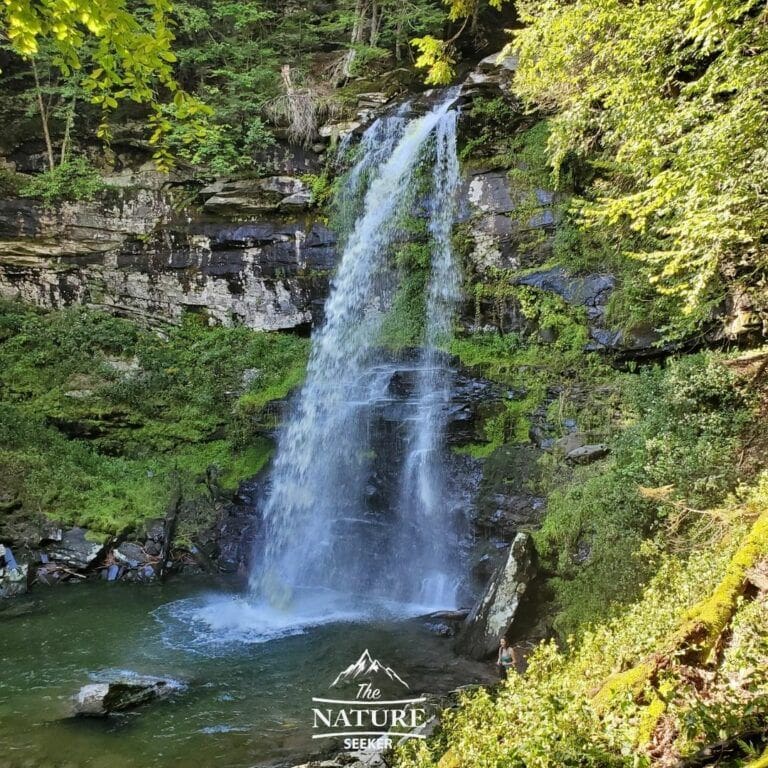 The 10 Best Catskills Waterfalls to Explore
