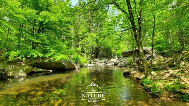 How to Hike The Reeves Brook Loop Trail For Beginners