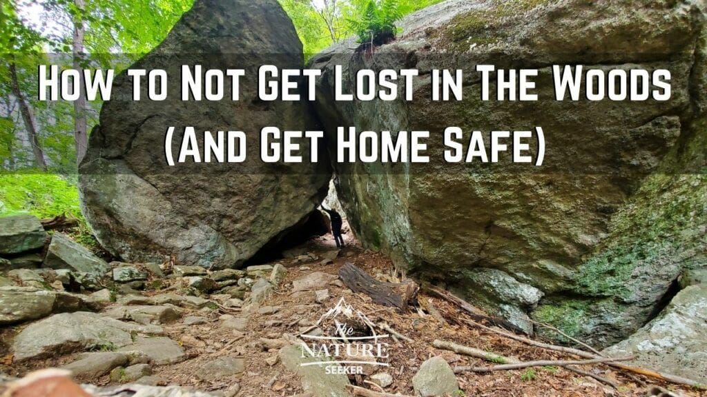 How to Not Get Lost in The Woods For Beginners
