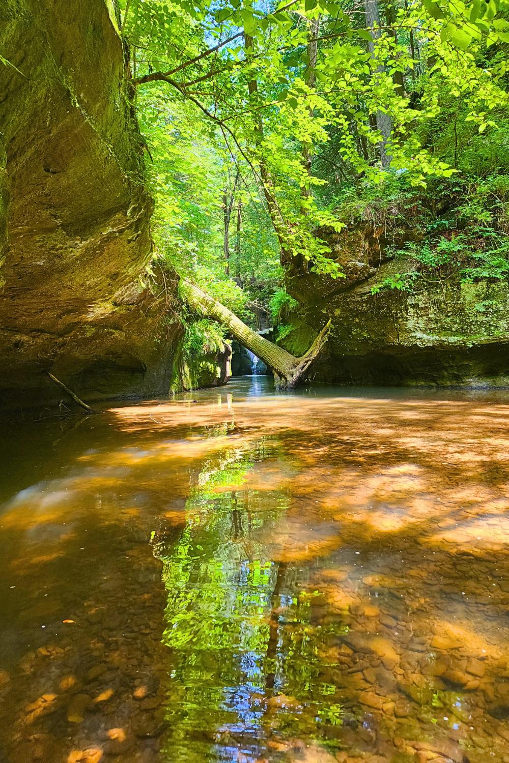 Hocking Hills State Park: 1st Time Visitor Guide