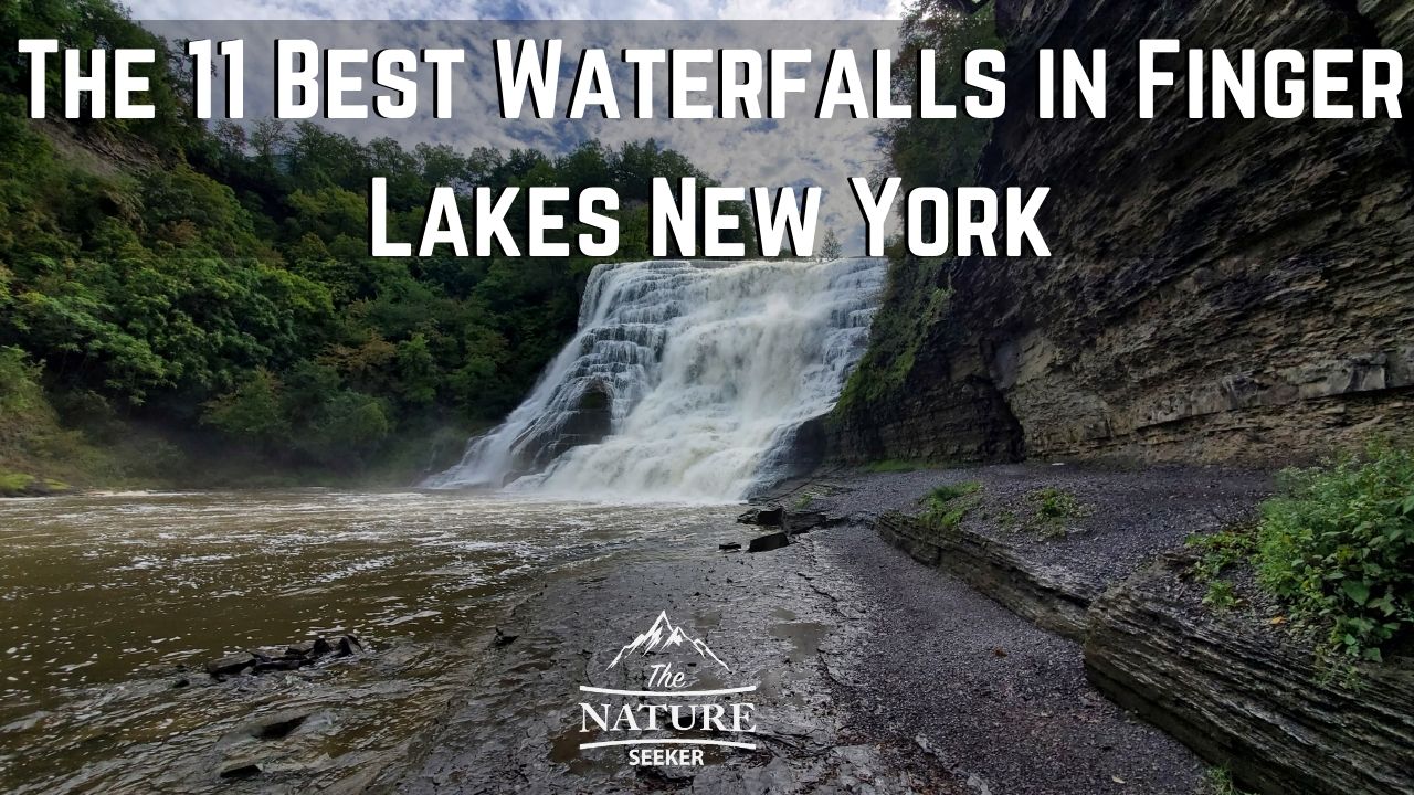 The 11 Best Waterfalls to Explore in The Finger Lakes Region