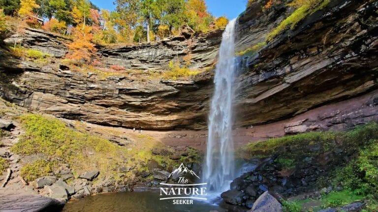 How to do The Kaaterskill Falls Hike For First Time Visitors