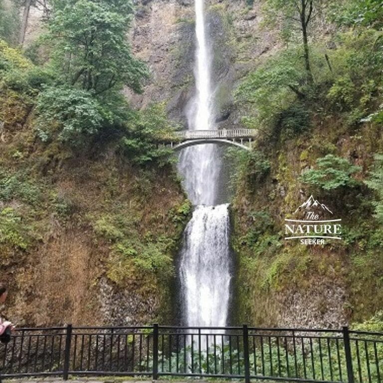 12 Best Oregon Waterfall Hikes That'll Take Your Breath Away
