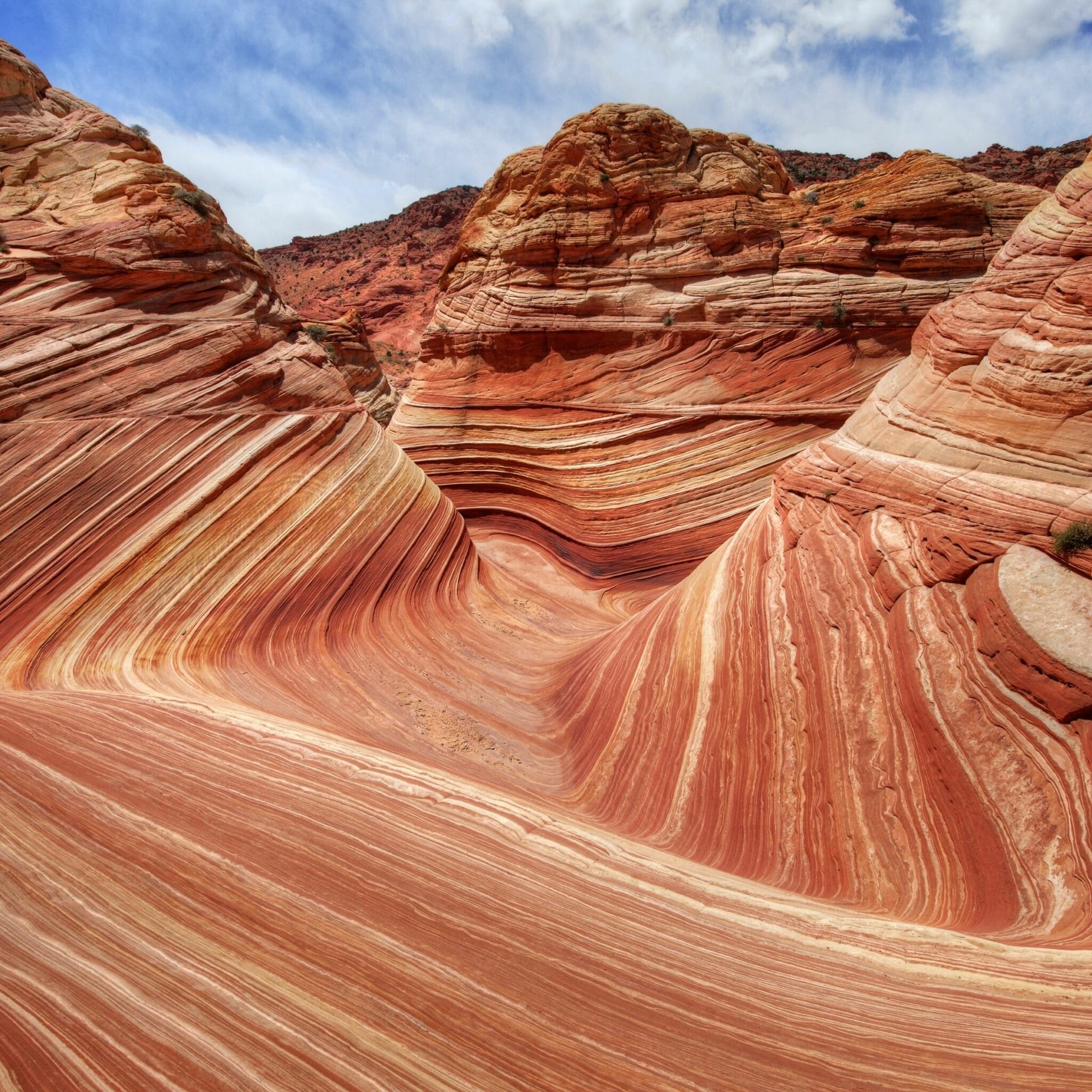 The 9 Best Vermilion Cliffs National Monument Hiking Trails
