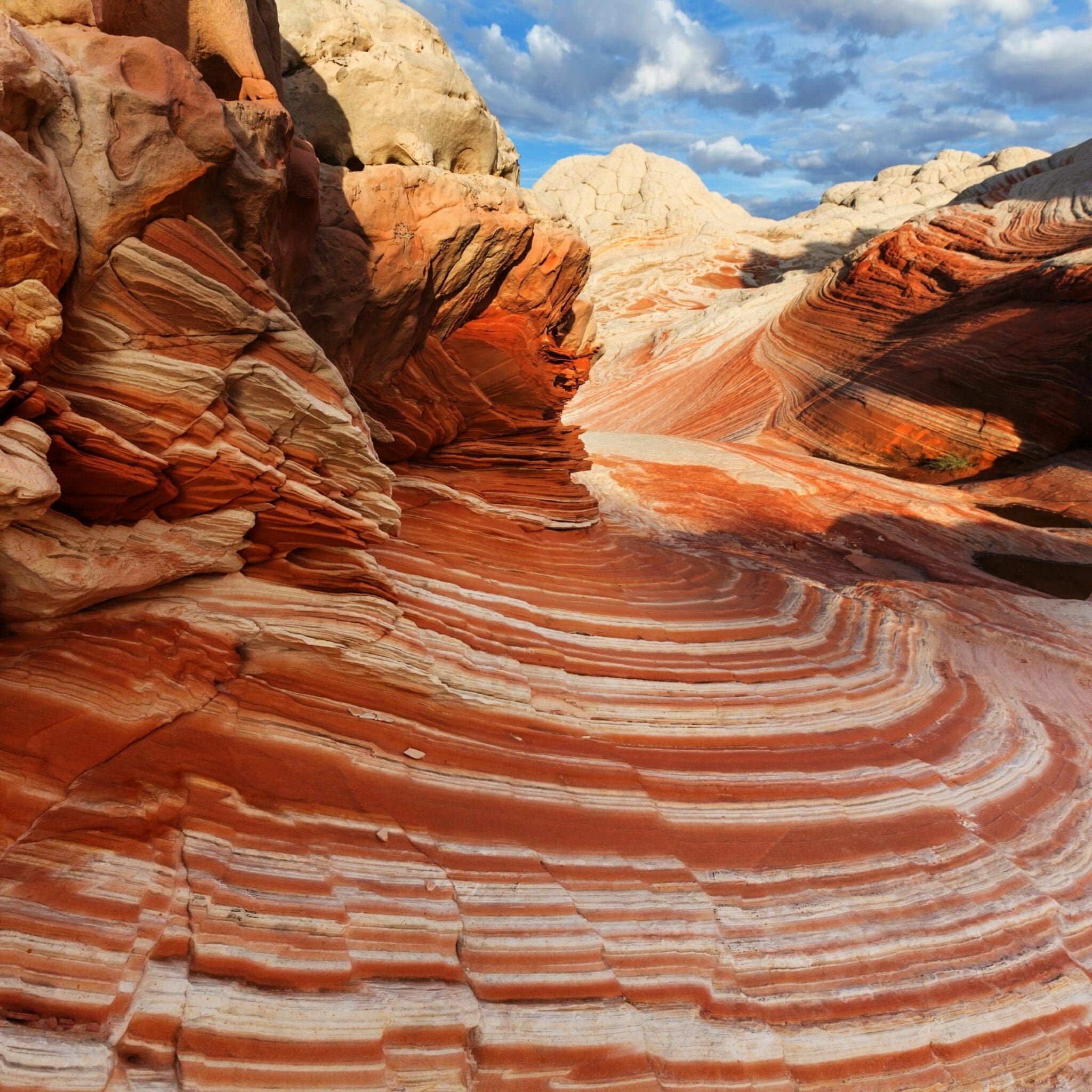 The Wave Alternative: 11 Trails That Look Like This Place!