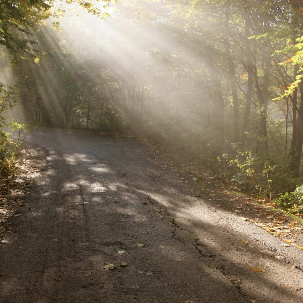 5 Things to Know About The Overlook Mountain Trail in NY