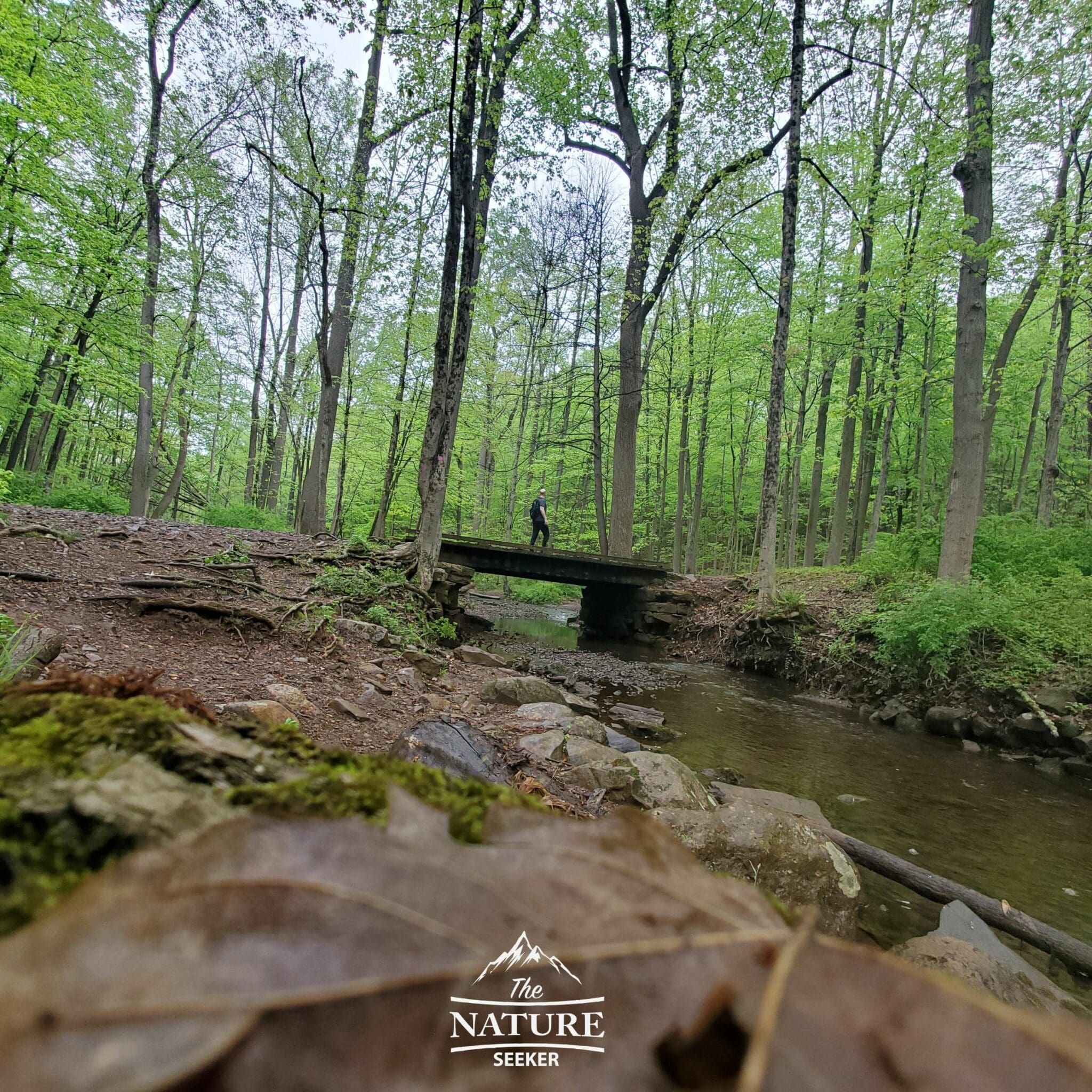 7 Things to Explore at Watchung Reservation NJ