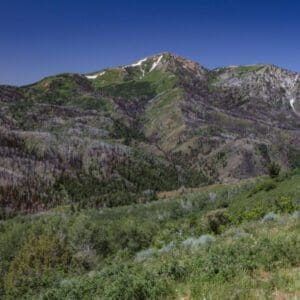 10 Things to Explore on The Nebo Loop Scenic Byway in Utah