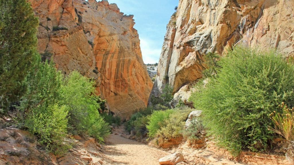 13 Best Slot Canyons in Utah to Hike Through