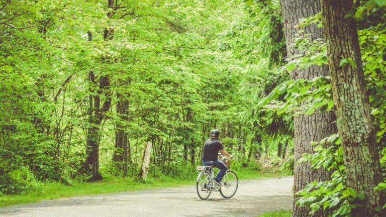 10 Best Things to do Cheaha State Park Alabama