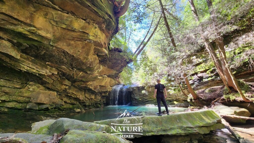 How to Hike The Honey Creek Loop Trail in Big South Fork