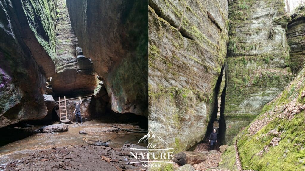 5 Best Things to do at Nelson Ledges State Park Ohio