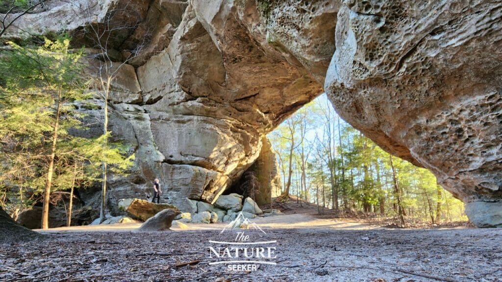 A Guide to Hiking The Twin Arches Loop Trail in TN