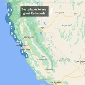 11 Best Places to See Redwoods in California