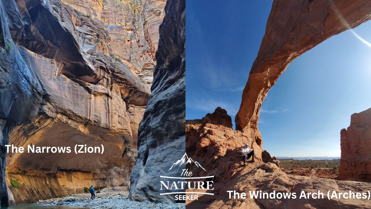 Zion Vs Arches: Which of These National Parks is Better?