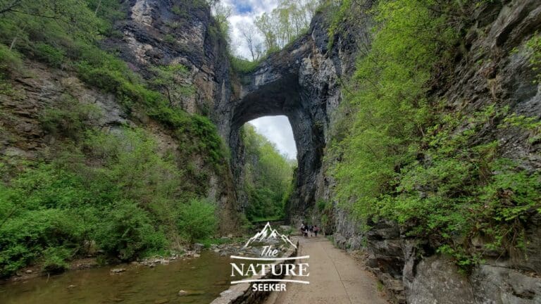 5 Things to Know About Natural Bridge State Park in Virginia