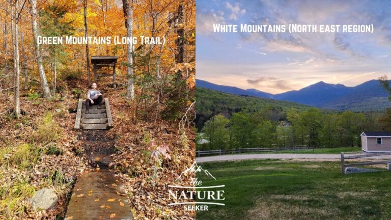 White Mountains Vs Green Mountains: Which Should You Visit?