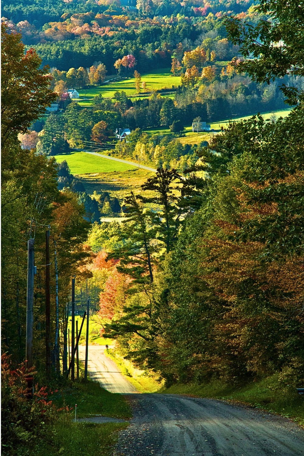 10 Best Vermont Fall Foliage Road Trips in 2025