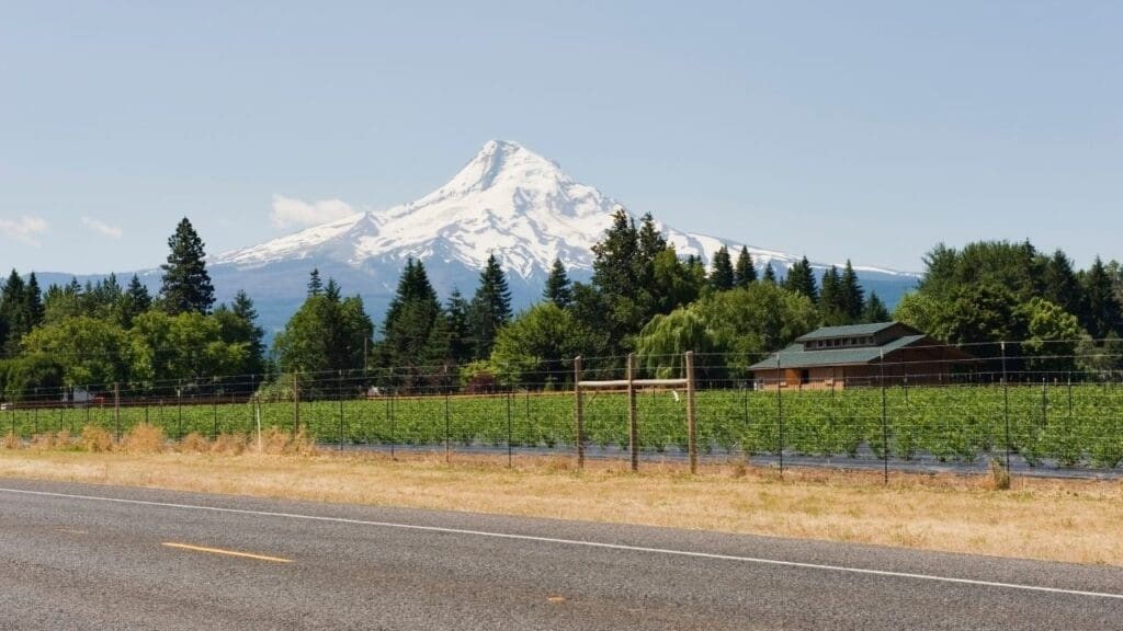 10 Best Oregon Scenic Drives to Take a Road Trip Through