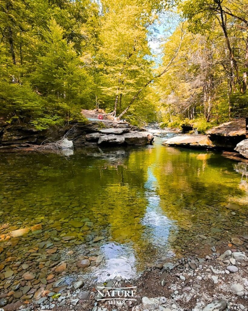 13 Best Places to Catch Catskills Fall Foliage in 2025