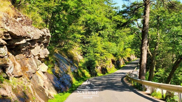10 Stunning Catskill Mountains Scenic Drives
