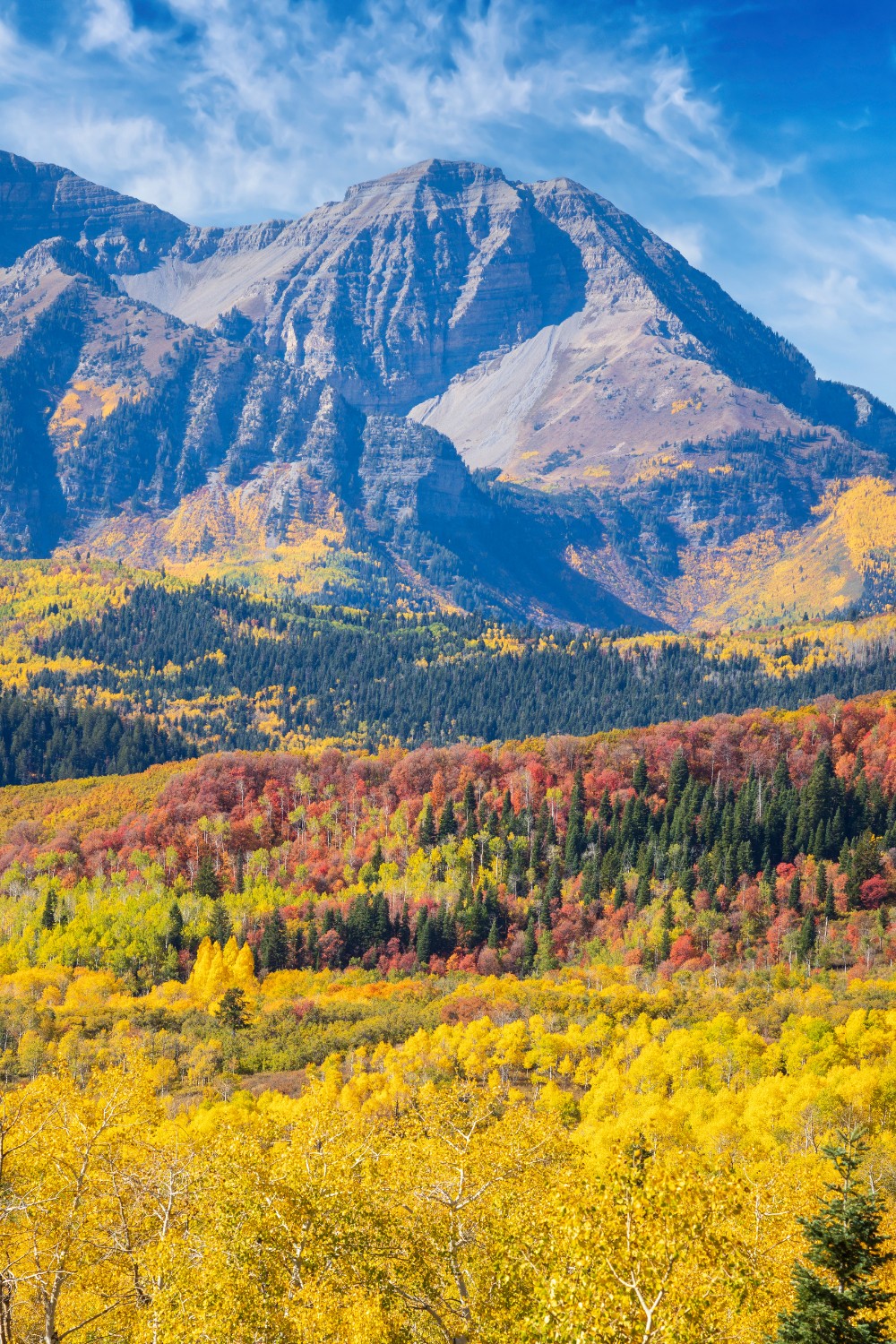 10 Best Places to See Fall Foliage in Utah