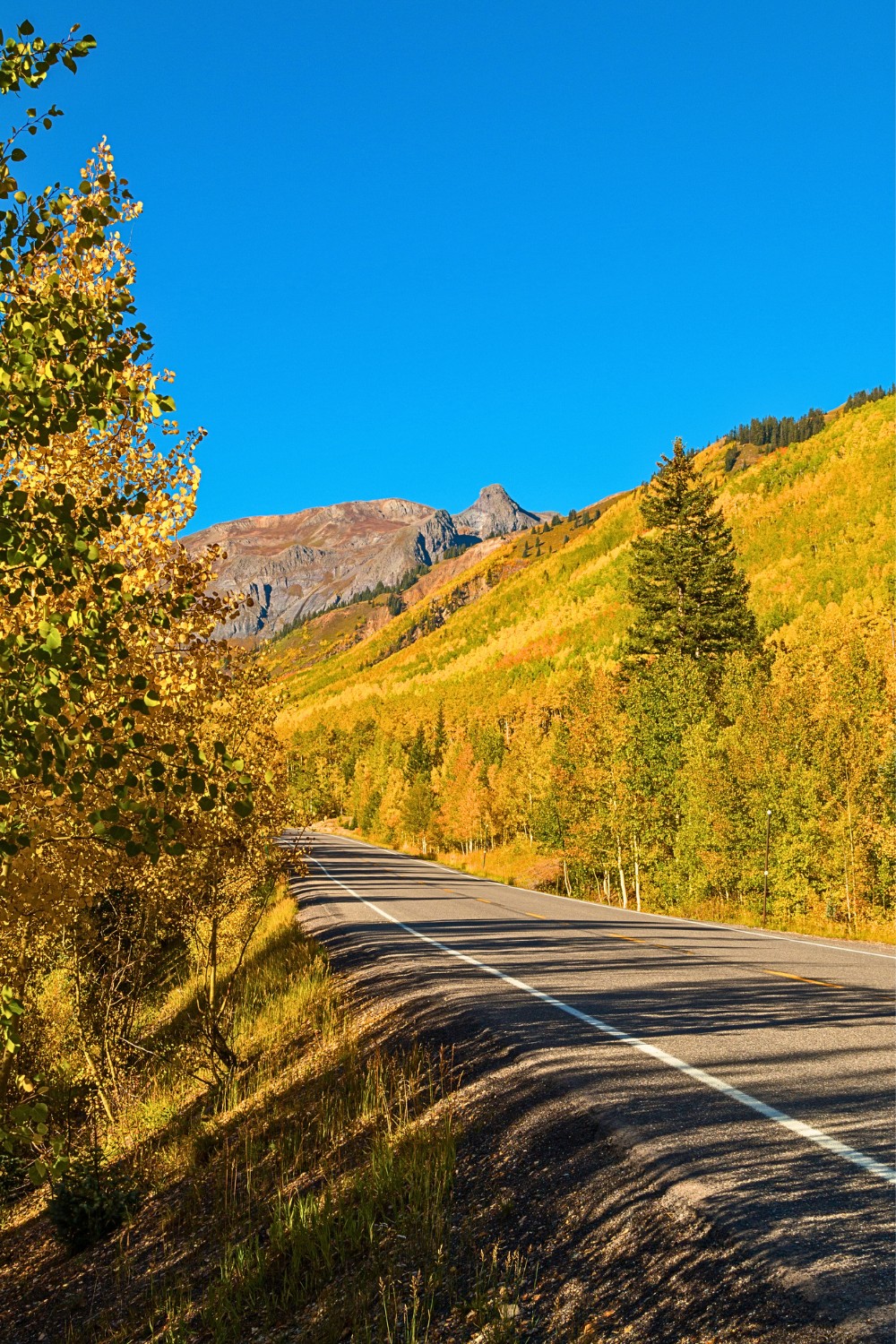 10 Best Places to See Colorado Fall Foliage