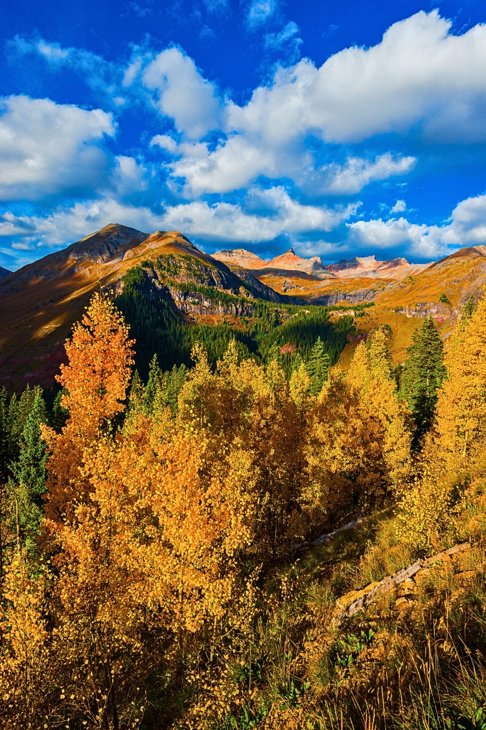10 Best Places to See Colorado Fall Foliage