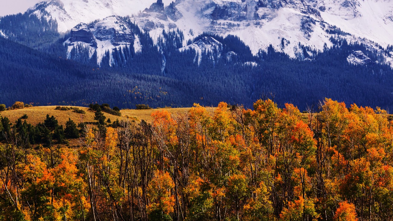10 Best Places to See Colorado Fall Foliage