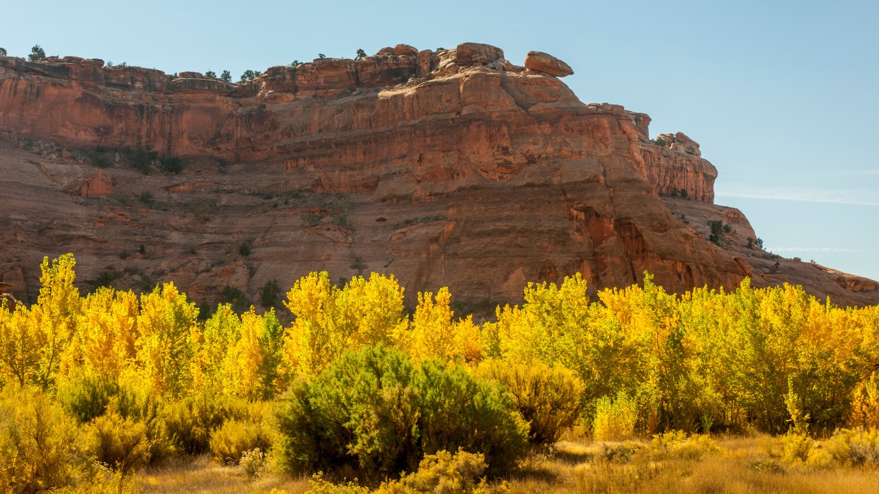 10 Best Places to See Fall Foliage in Utah