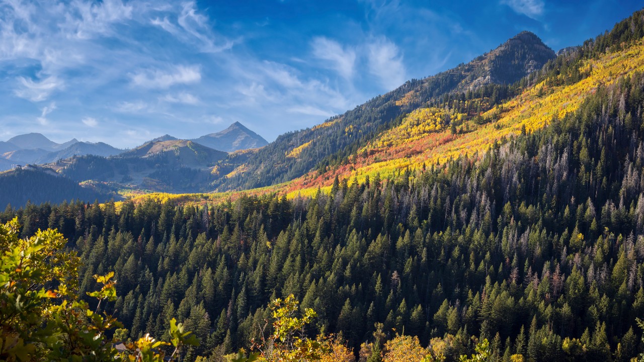 10 Best Places to See Fall Foliage in Utah