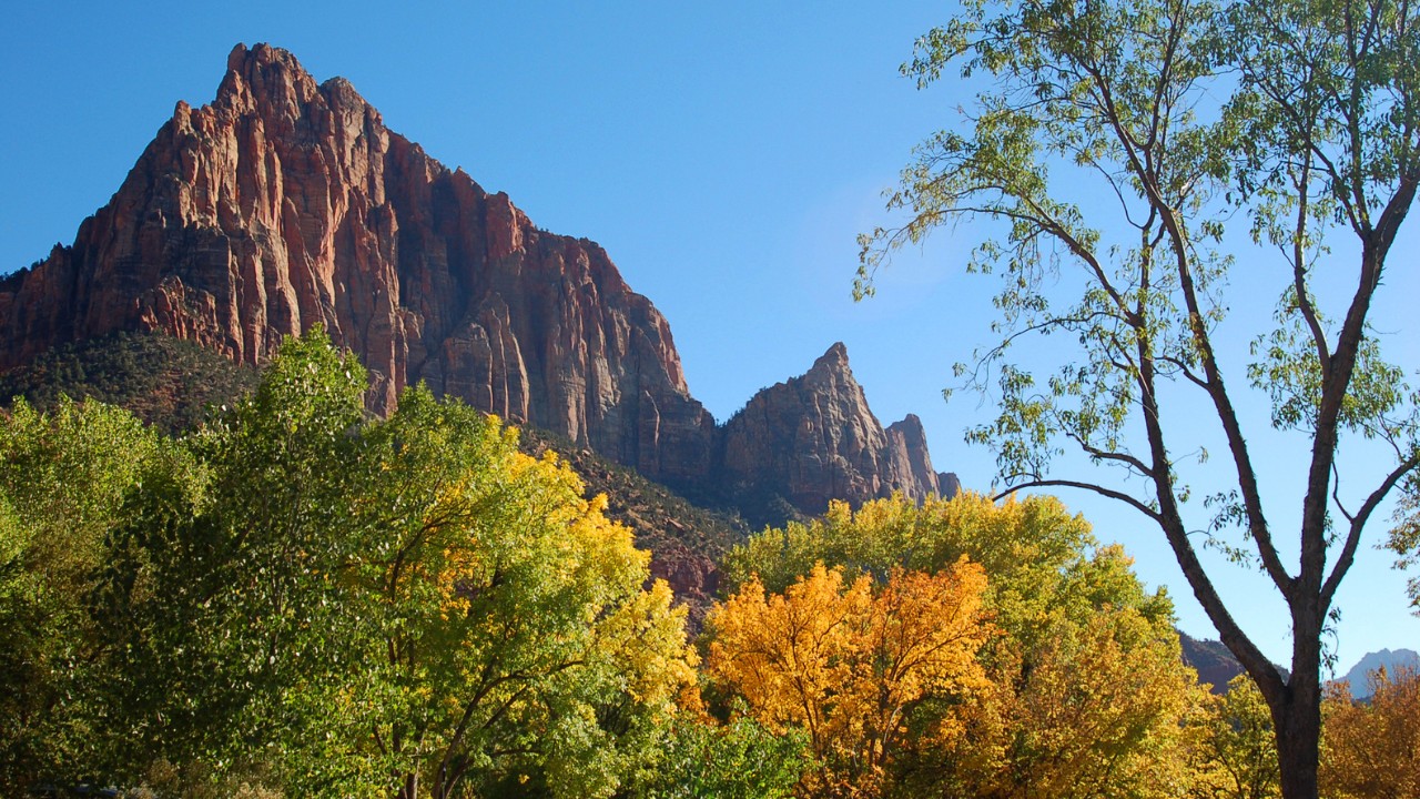 10 Best Places to See Fall Foliage in Utah