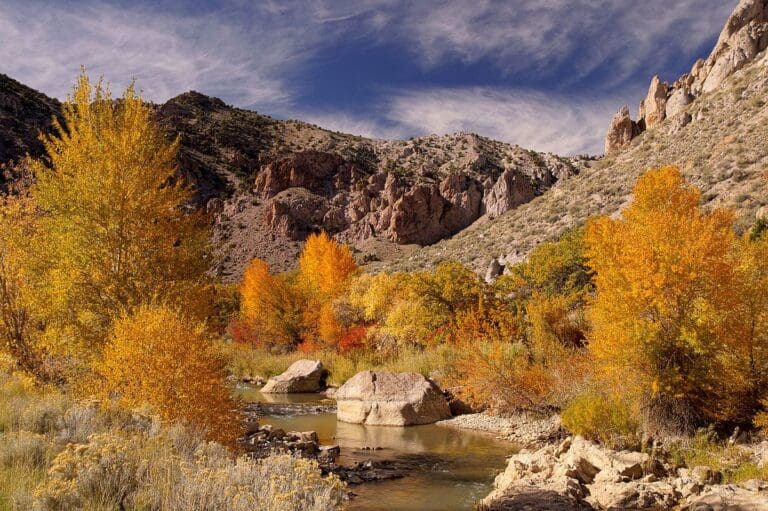 10 Best Places to See Fall Foliage in Utah