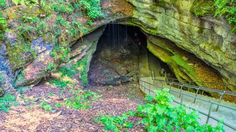 Mammoth Cave National Park: A First Time Visitor Guide | The Nature Seeker