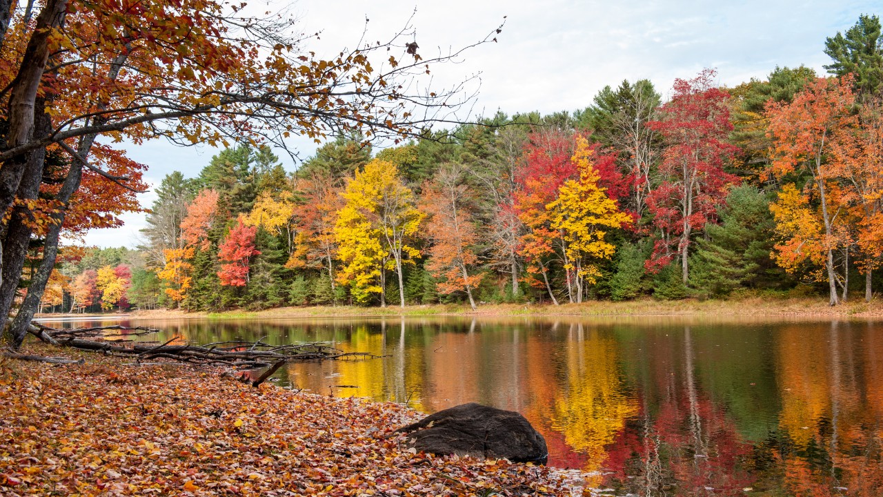10 Best Maine Fall Foliage Road Trips To Take in 2025