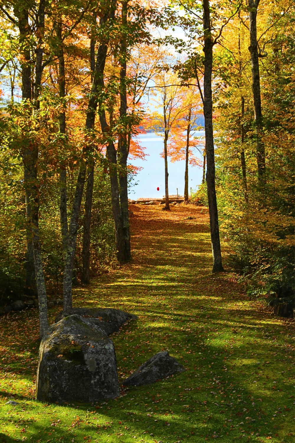 10 Best Maine Fall Foliage Road Trips To Take in 2025