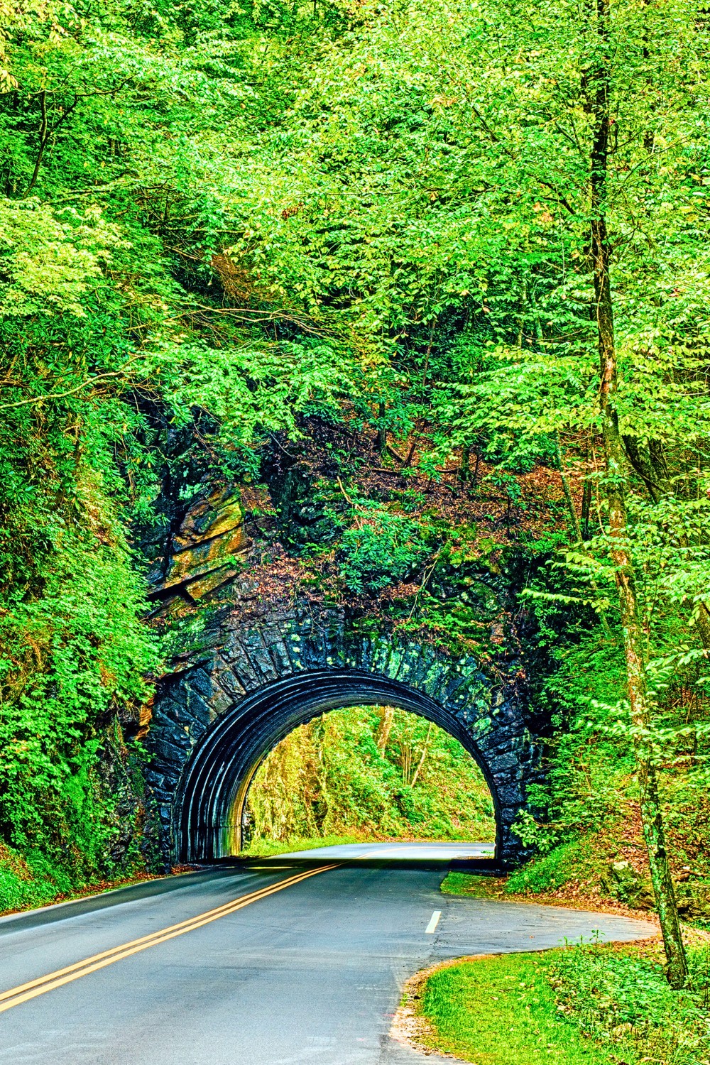 Great Smoky Mountains National Park Tennessee: 1st Time Visitor Guide
